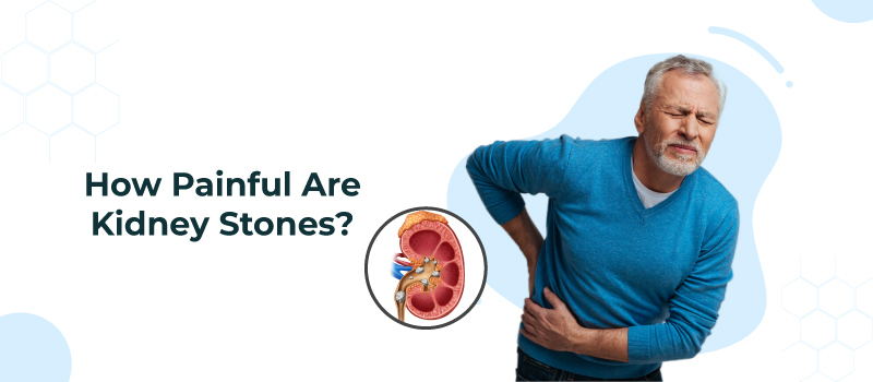 Understanding Painful Kidney Stones | AINU India