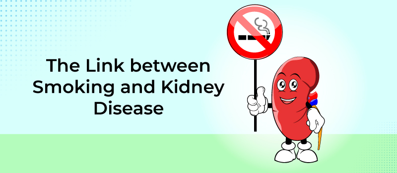 The Link between Smoking and Kidney Disease: Understanding the ...