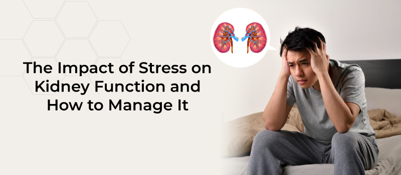The Impact of Stress on Kidney Function and How to Manage It | AINU